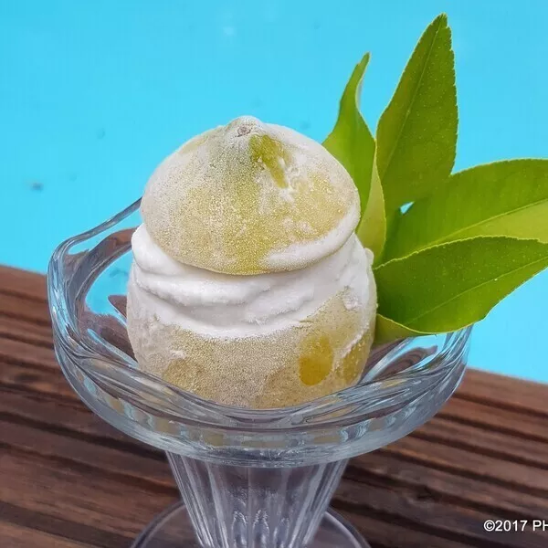 Citrons givrés - Recette i-Cook'in | Guy Demarle