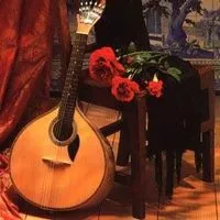 Fan - Toutes les recettes de Fan