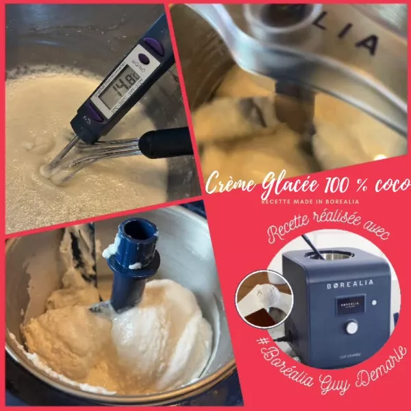 Glace Coco | Guy Demarle