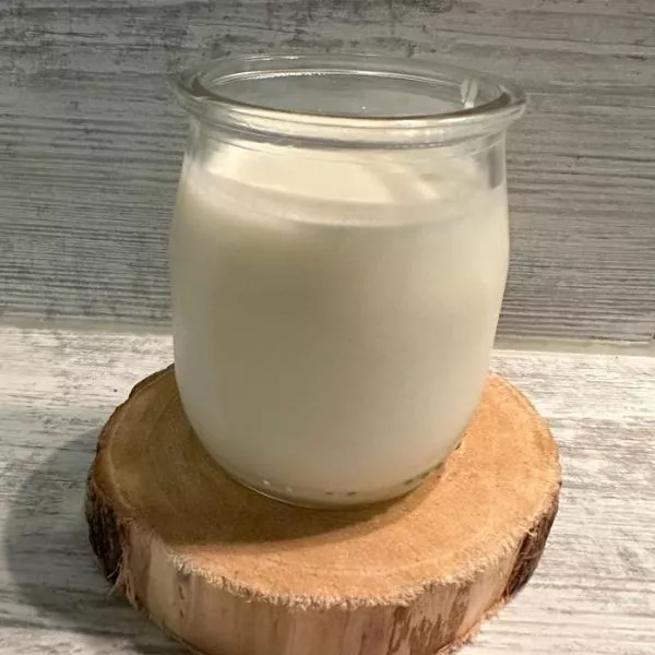 YAOURT VELOUTE NATURE BOREALIA | Guy Demarle