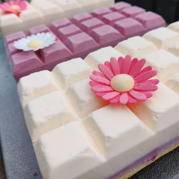 3 tablettes citron cassis framboises | Guy Demarle