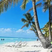 Laeti - Toutes les recettes de Laeti