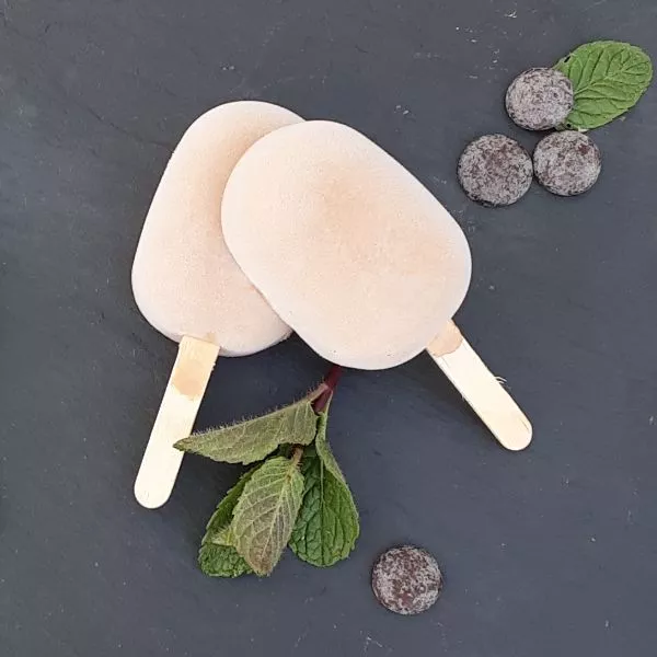 Mini magnums chocolat menthe | Guy Demarle