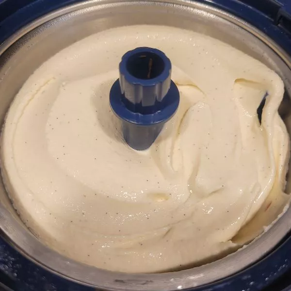 MIX glace vanille pour turbine borealia - Recette i-Cook'in | Guy Demarle