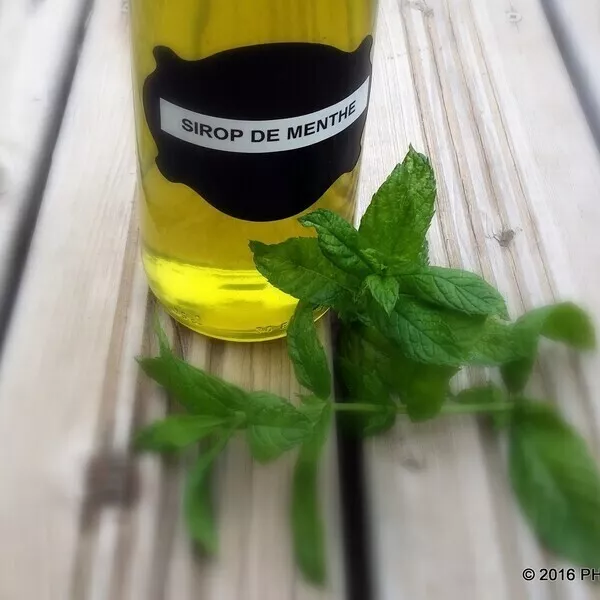 Sirop de menthe maison - Recette i-Cook'in | Guy Demarle
