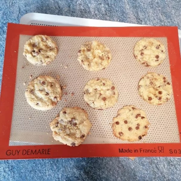 Cookies | Guy Demarle