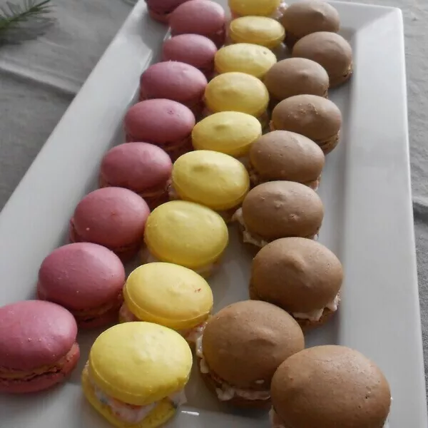 MACARON de Yannick Lefort (inratable) | Guy Demarle
