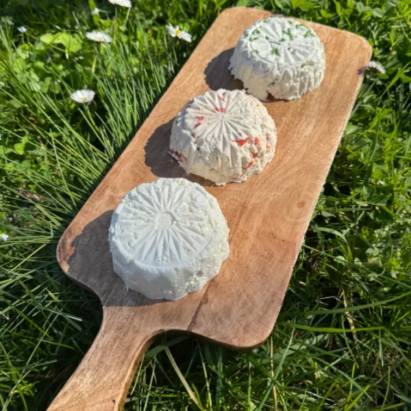 PETITS FROMAGES FRAIS DE BREBIS AROMATISES | Guy Demarle