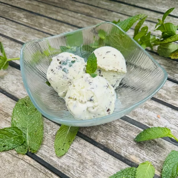 GLACE MENTHE CHOCOLAT NOIR 80% | Guy Demarle