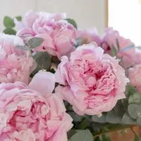 Moon - Toutes les recettes de Moon