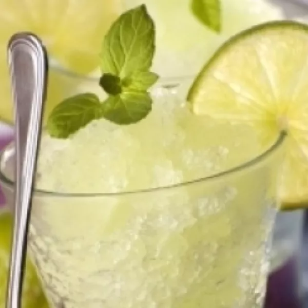 JB GRANITÉ AU CITRON - Recette i-Cook'in | Guy Demarle