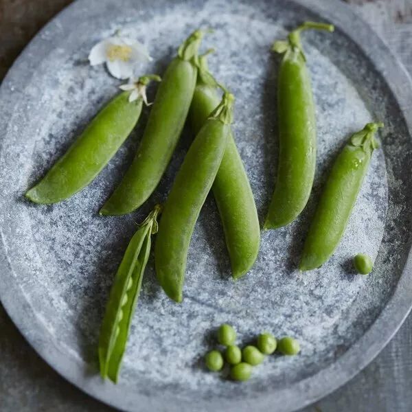 Cuisson vapeur des petits pois - Recette i-Cook'in | Guy Demarle