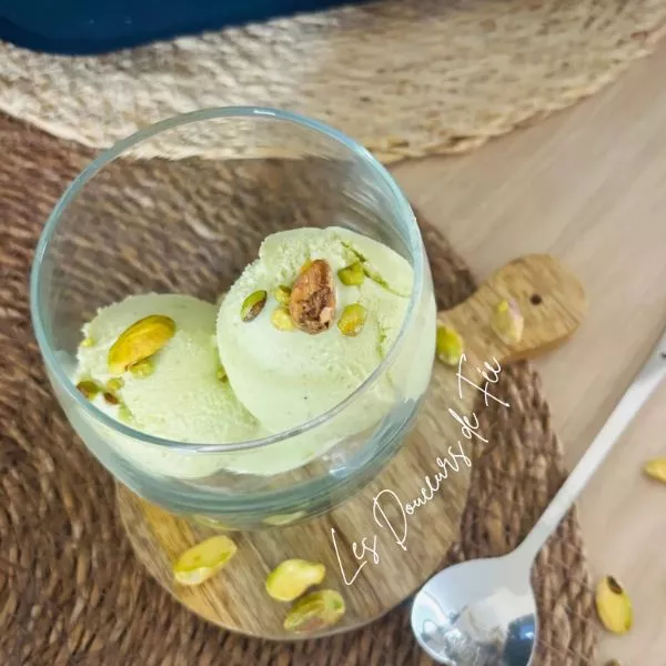 Glace Pistache | Guy Demarle