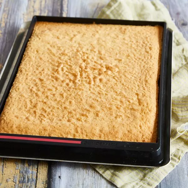 Génoise | Guy Demarle