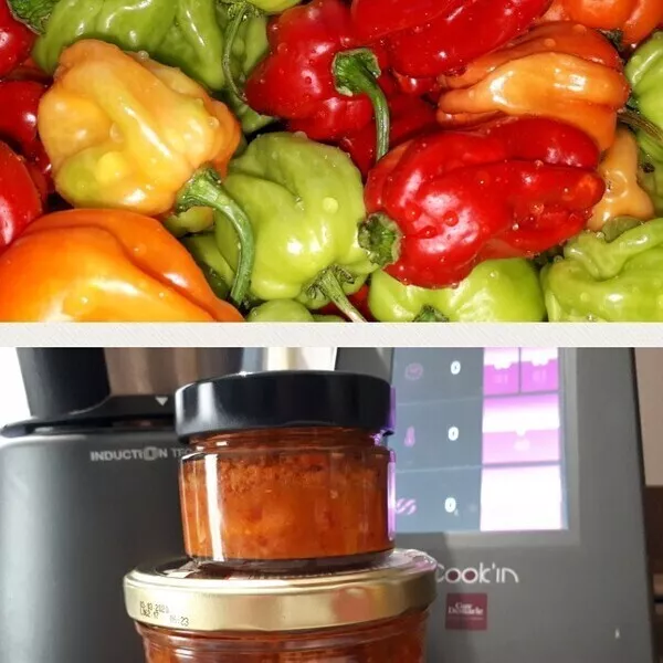 Piment la pate - Recette i-Cook'in | Guy Demarle