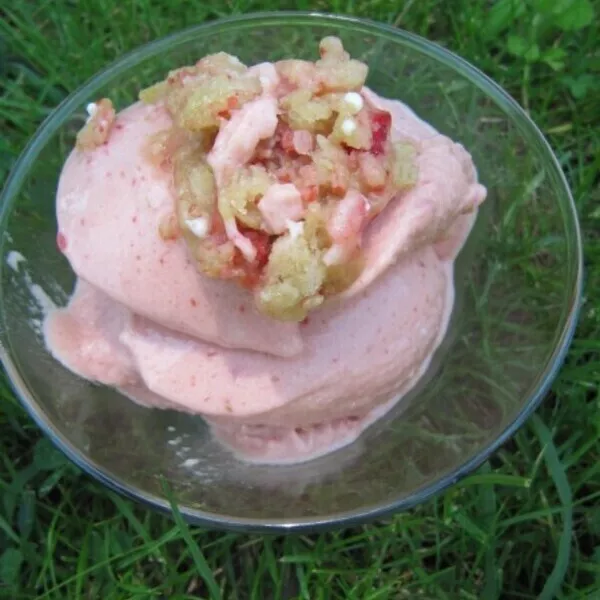 Frozen Yogurt Fraises Rhubarbe - Recette i-Cook'in | Guy Demarle