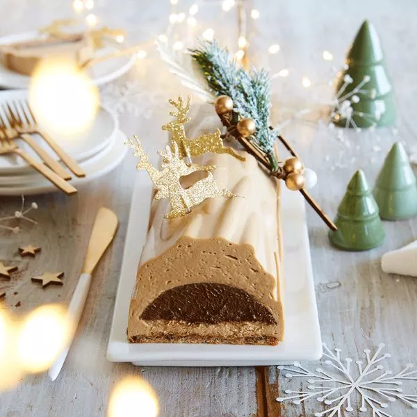 Bûche praliné chocolat | Guy Demarle