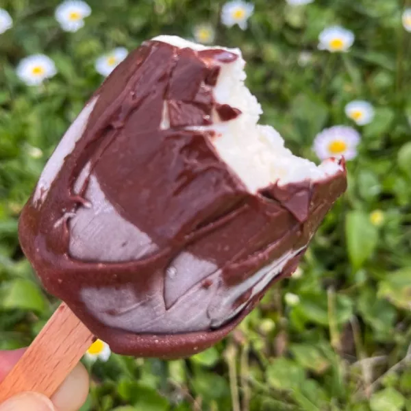 BOUNTY GLACE | Guy Demarle